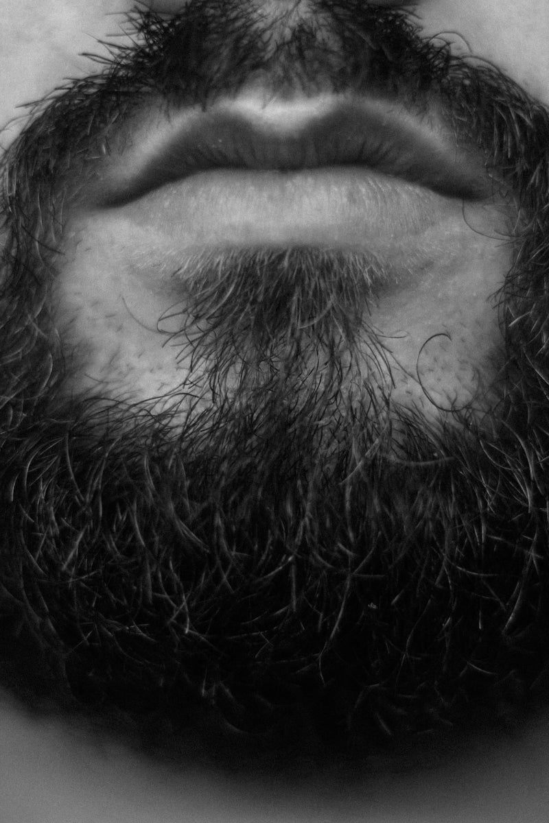 5 Maintenance Tips to Keep Your Beard in Top Shape – Dion Michaels Skincare